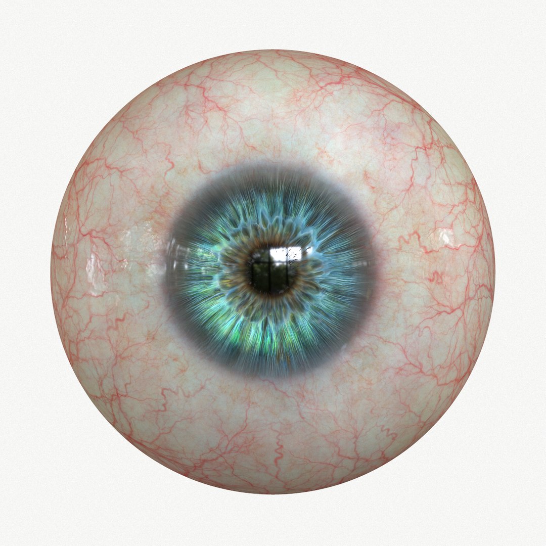 Eye Blue 1 Real-time 3D model 4k texture Marmoset Toolbag3 Maya FBX OBJ ...