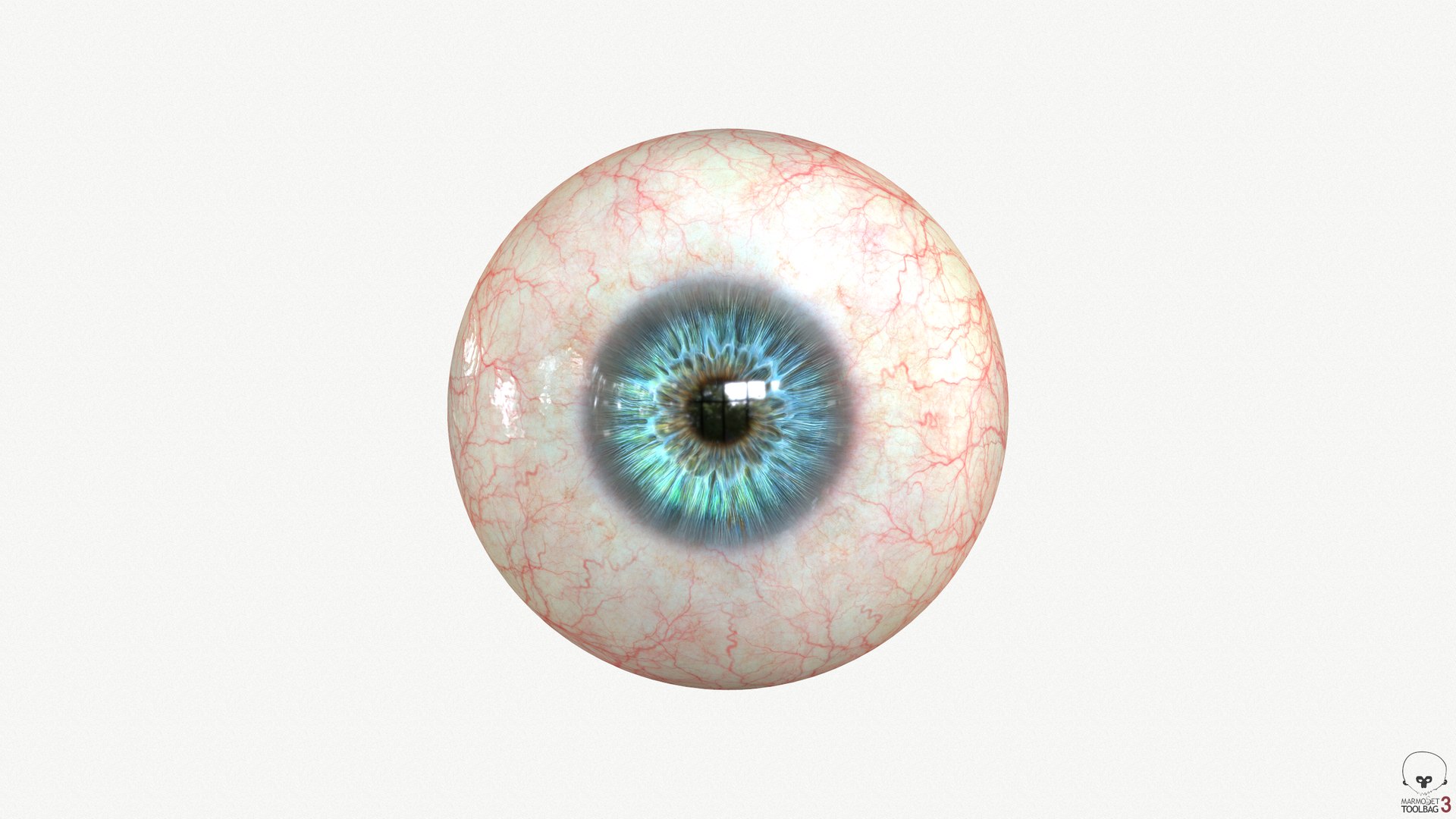 Eye Blue 1 Real-time 3D Model 4k Texture Marmoset Toolbag3 Maya FBX OBJ ...