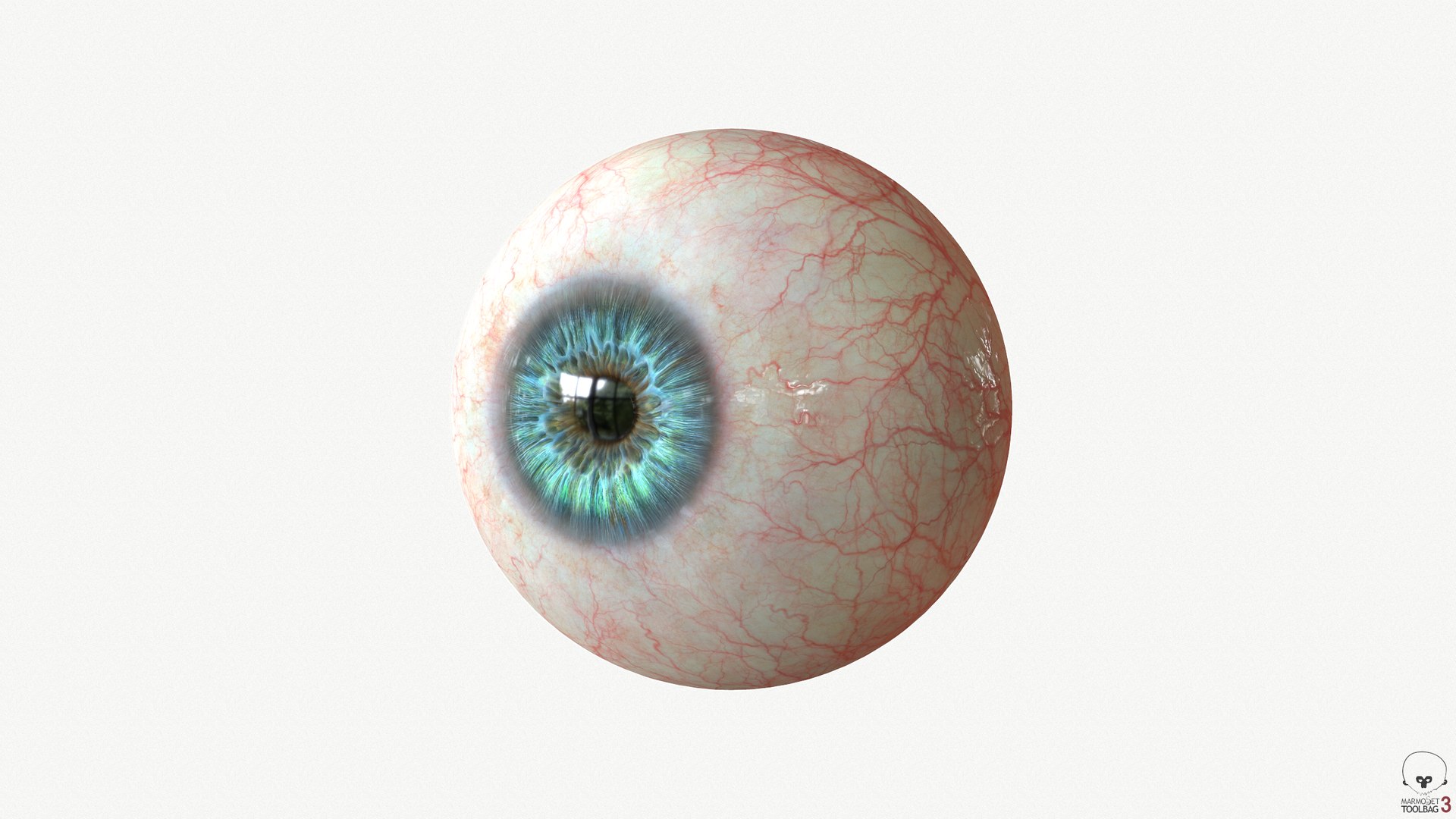 Eye Blue 1 Real-time 3D Model 4k Texture Marmoset Toolbag3 Maya FBX OBJ ...