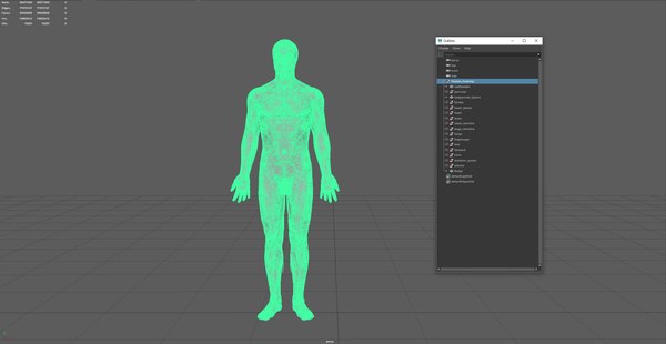 Complete Male Anatomy Blue Transparent 3D Model 3D - TurboSquid 1834090