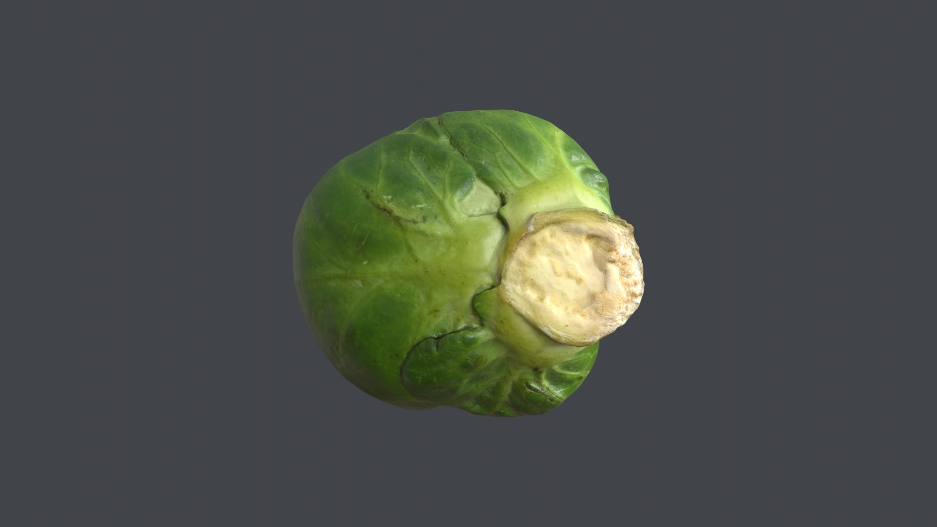 Brussels Sprout 2 3D Model - TurboSquid 1931817