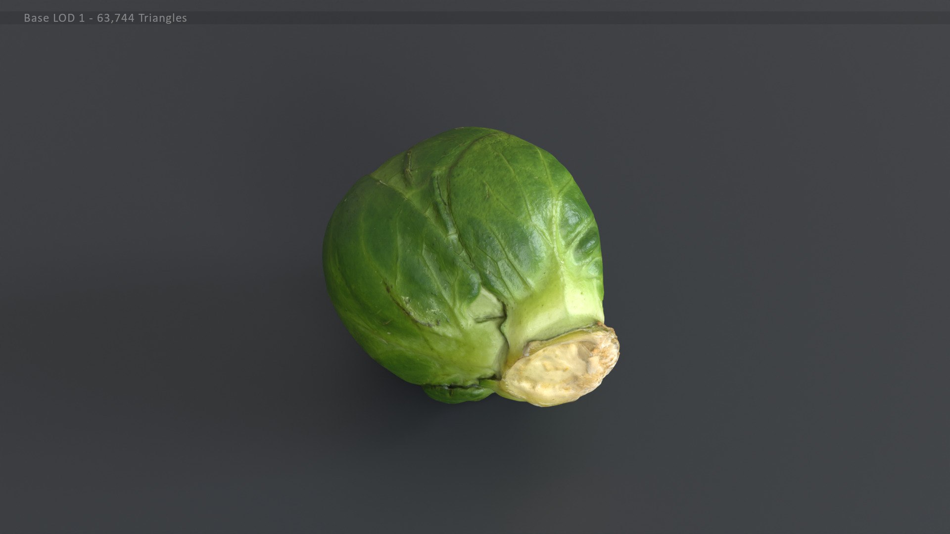 Brussels Sprout 2 3D Model - TurboSquid 1931817