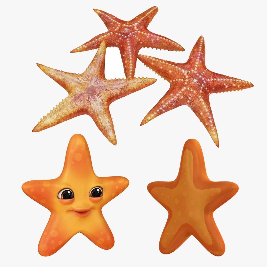 Realistic Star Fish and Cartoon Star Fish Collection 3D model ...