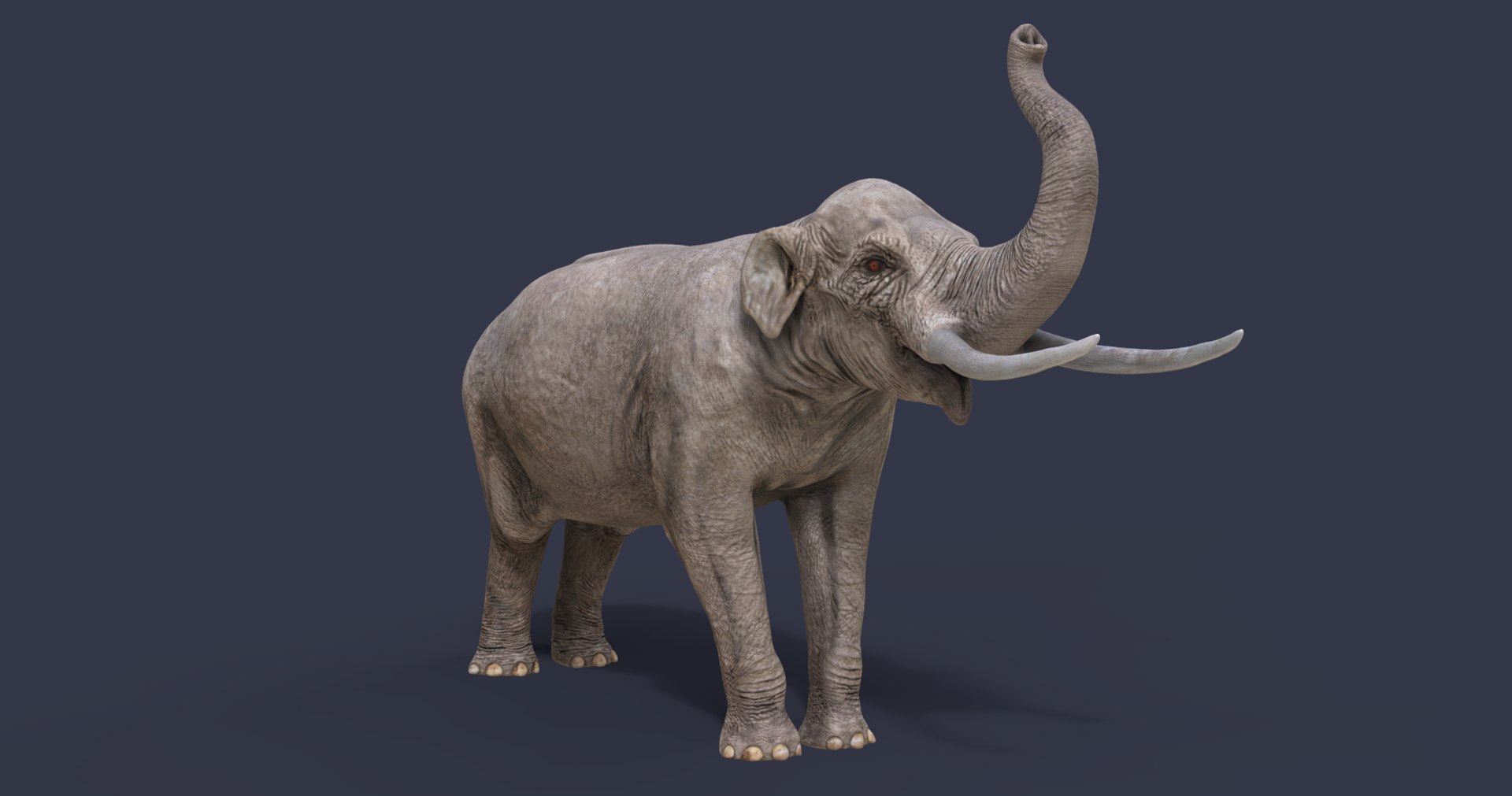 Sinomastodon Mastodon 3D Model - TurboSquid 1642442