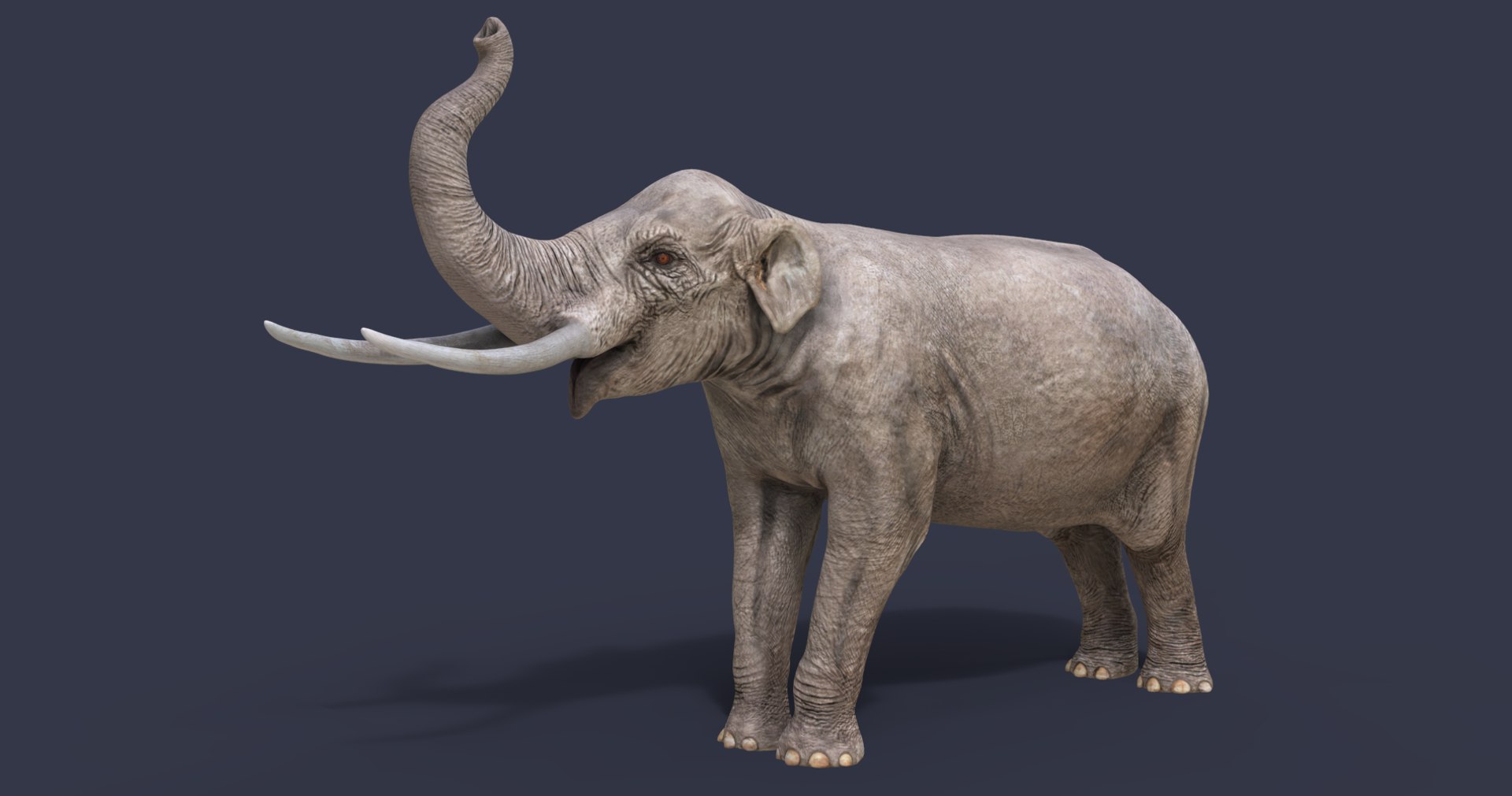 Sinomastodon Mastodon 3D Model - TurboSquid 1642442