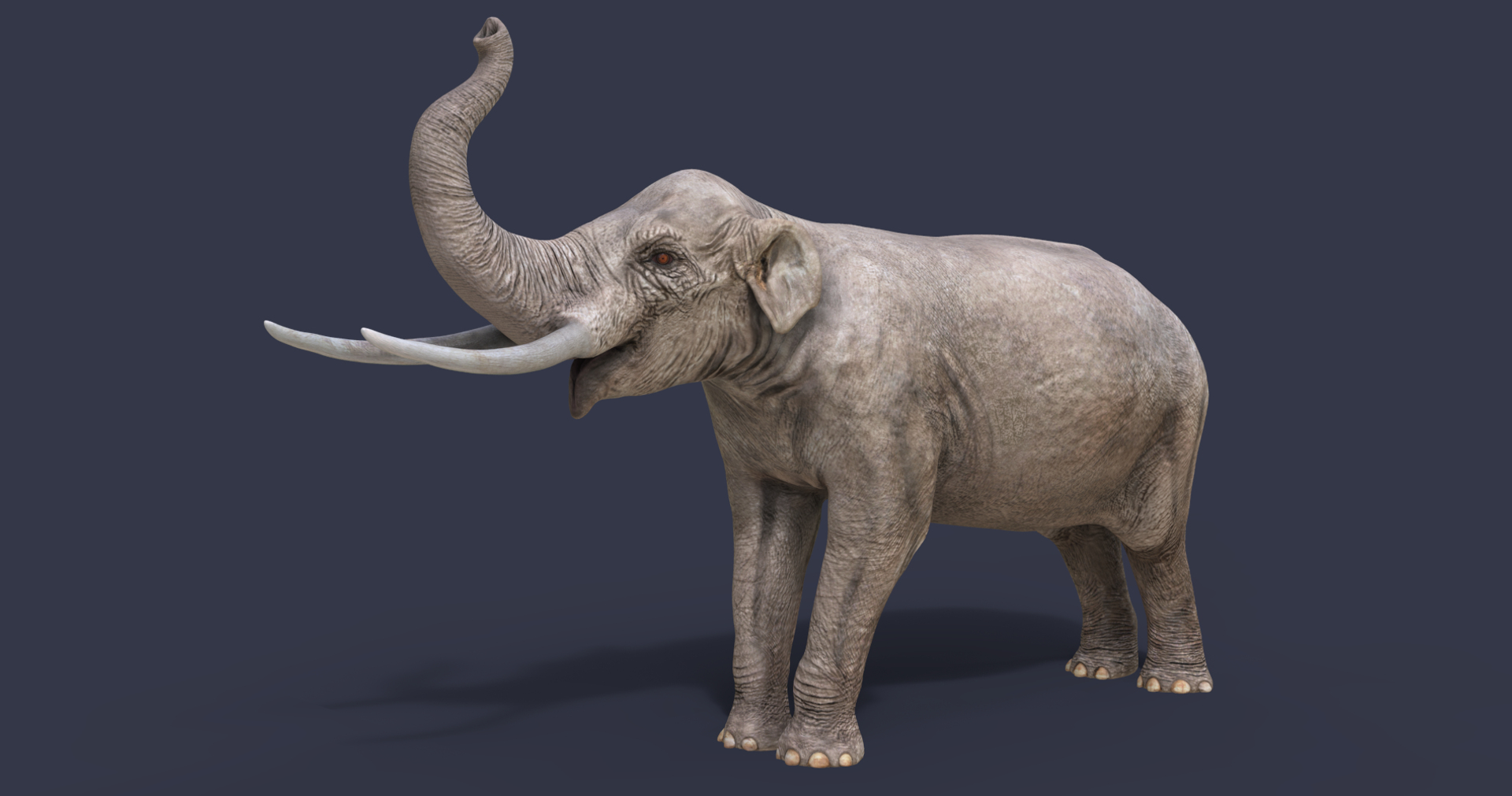 Sinomastodon mastodon 3D model - TurboSquid 1642442