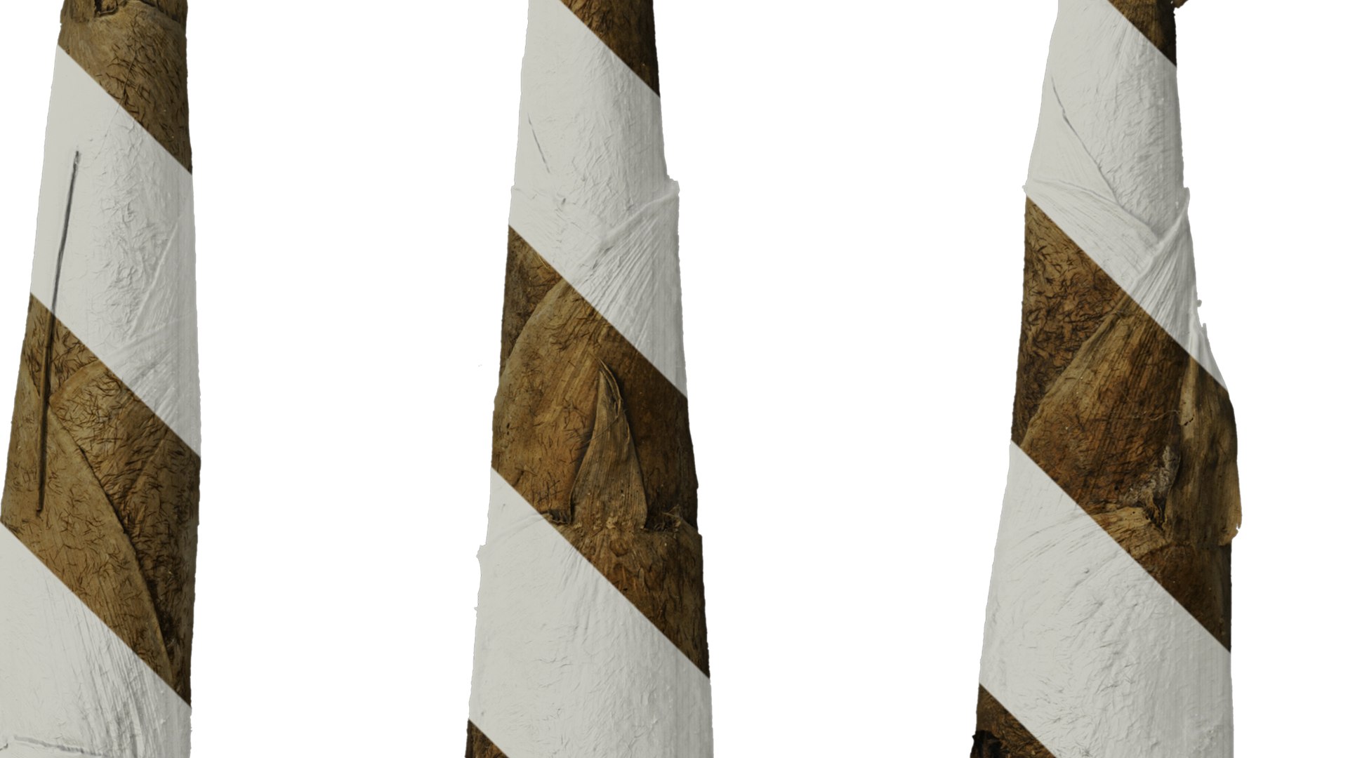 Anydrafts Bambusoideae Shoot 01 Textures 3D Model - TurboSquid 2345416