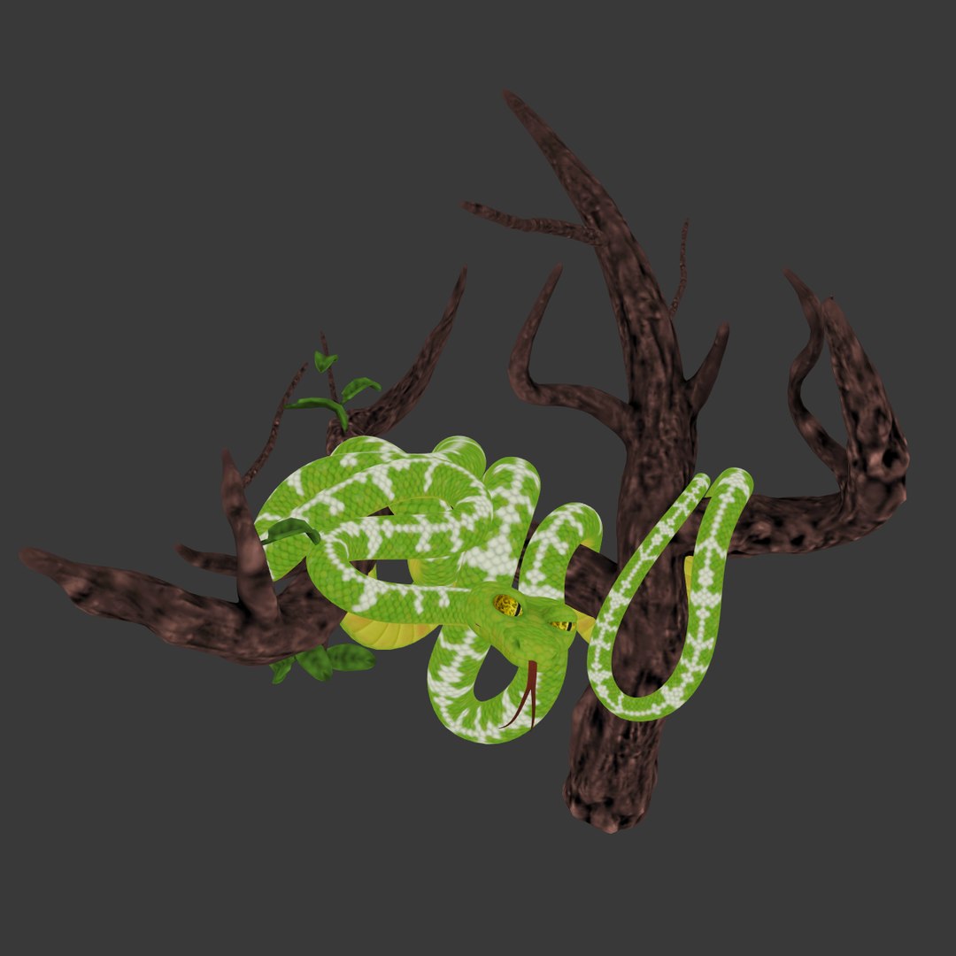 3d model cartoon emerald boa