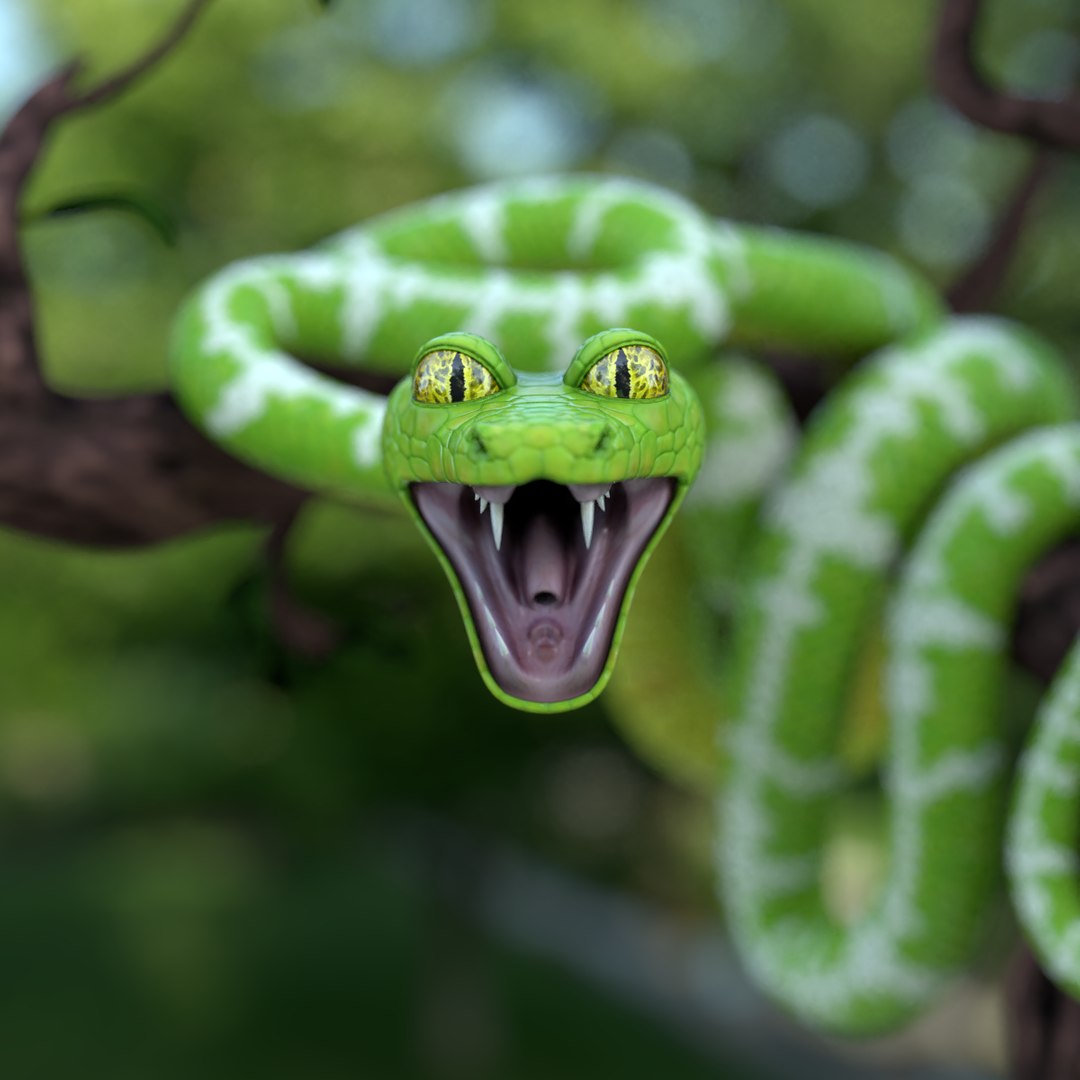 3d model cartoon emerald boa