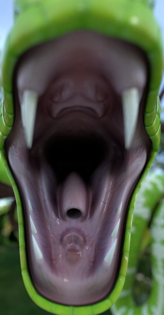 3d model cartoon emerald boa