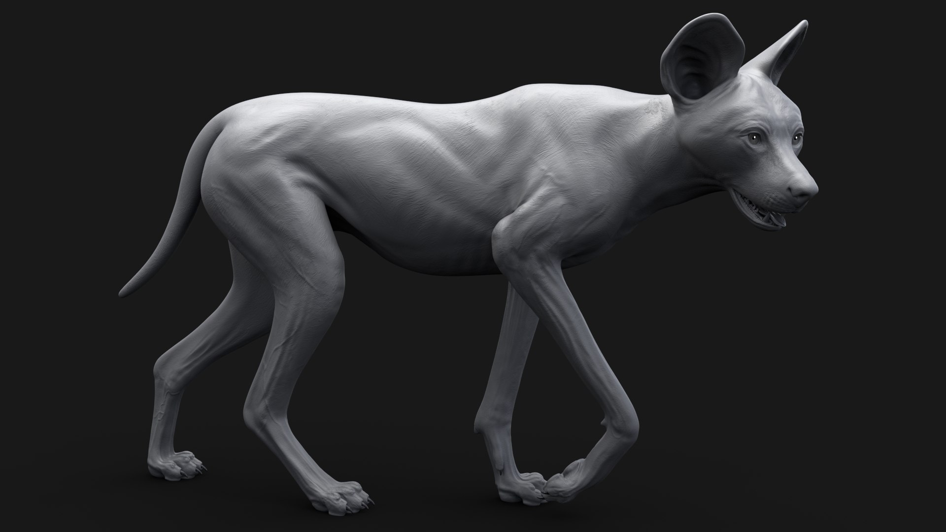 Wild Dog XGen 3D Model - TurboSquid 2093352