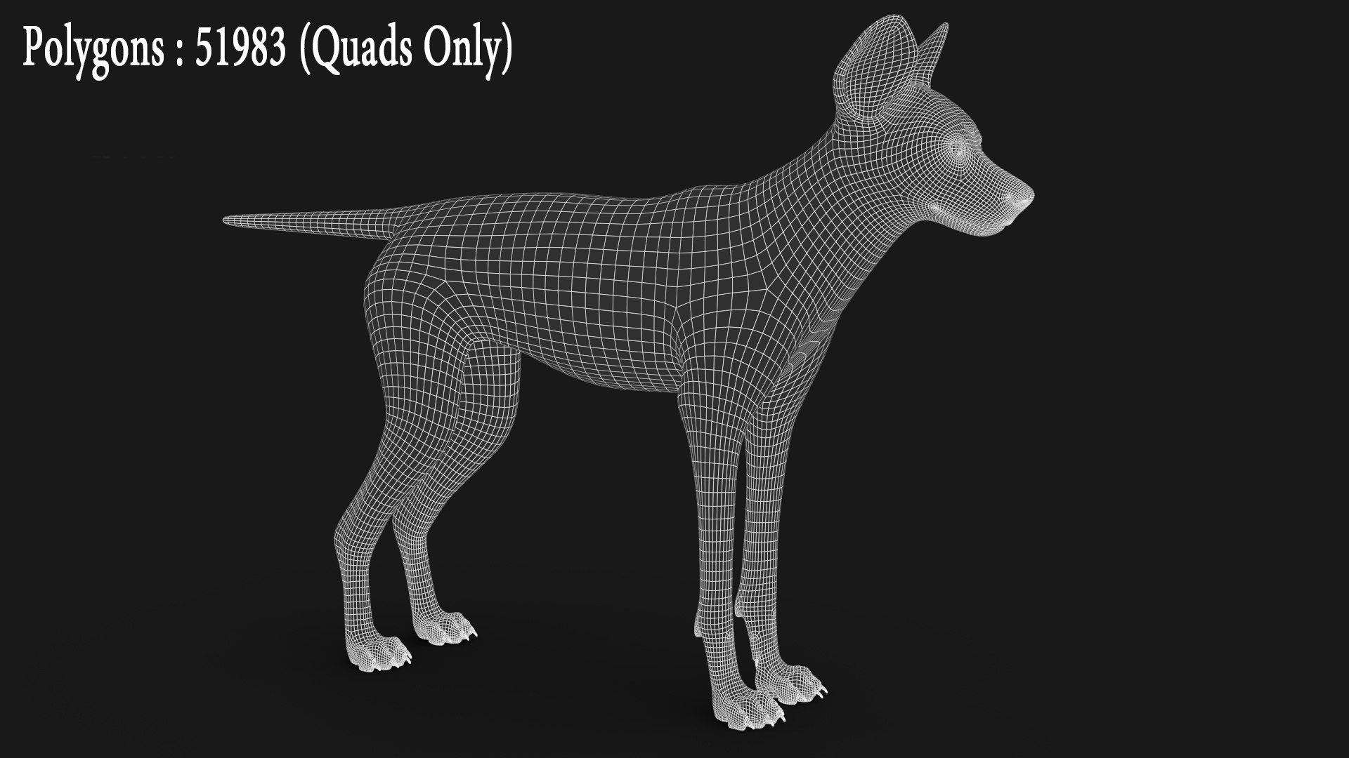 Wild Dog XGen 3D Model - TurboSquid 2093352