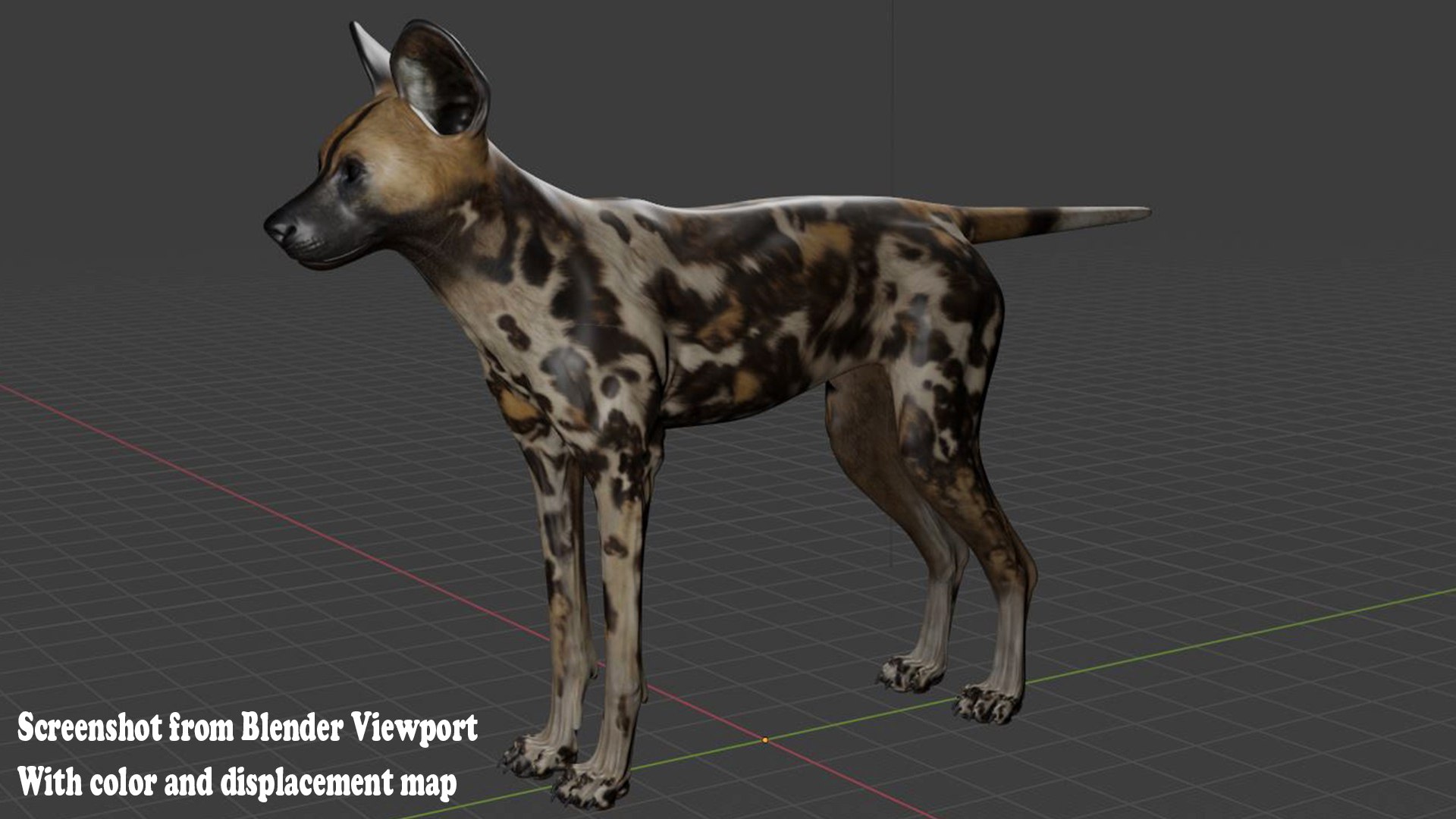 Wild Dog XGen 3D Model - TurboSquid 2093352