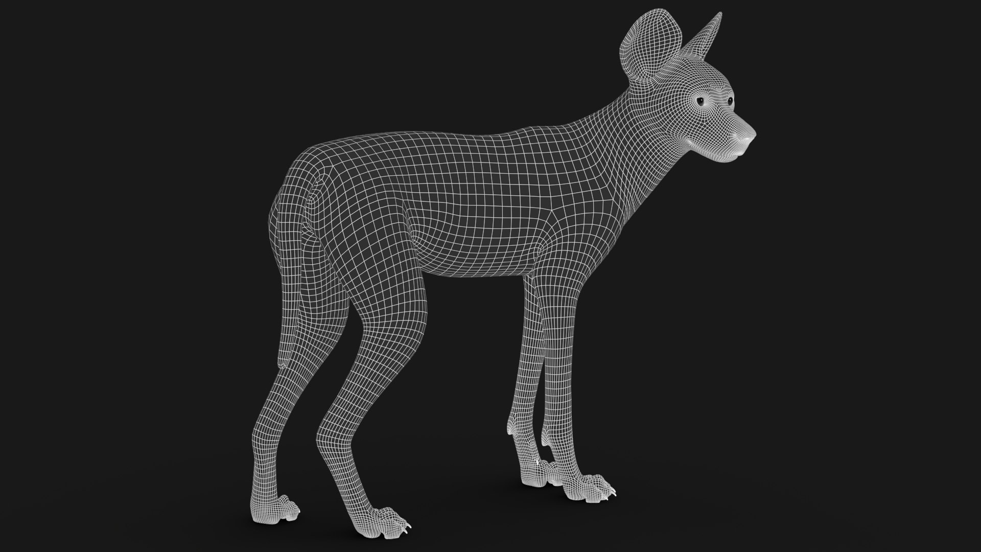 Wild Dog XGen 3D Model - TurboSquid 2093352
