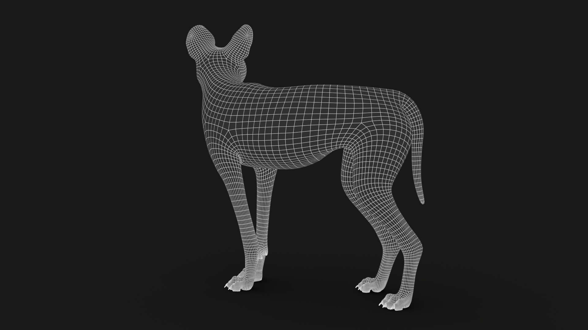 Wild Dog XGen 3D Model - TurboSquid 2093352