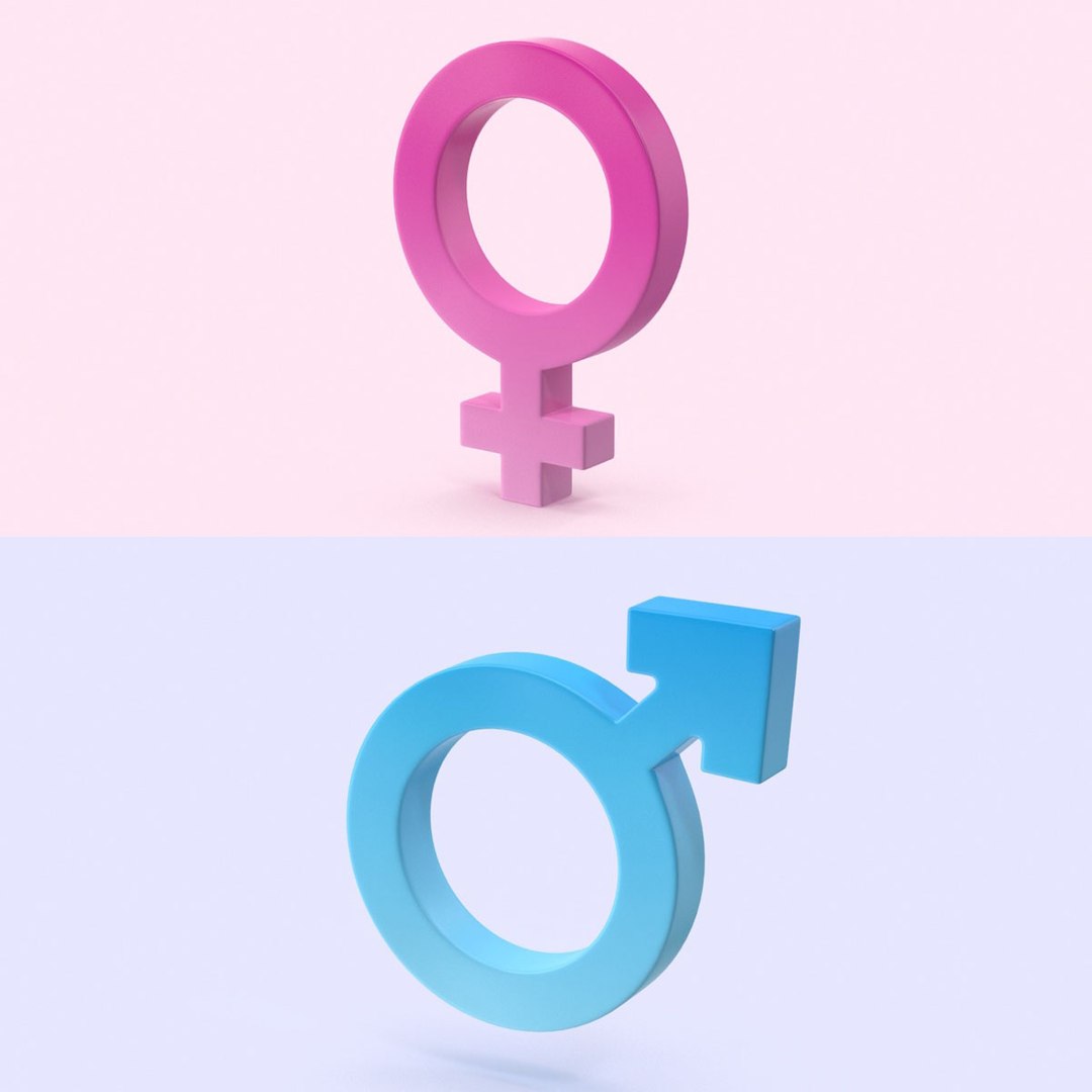 3d Model Of Gender Symbols Set