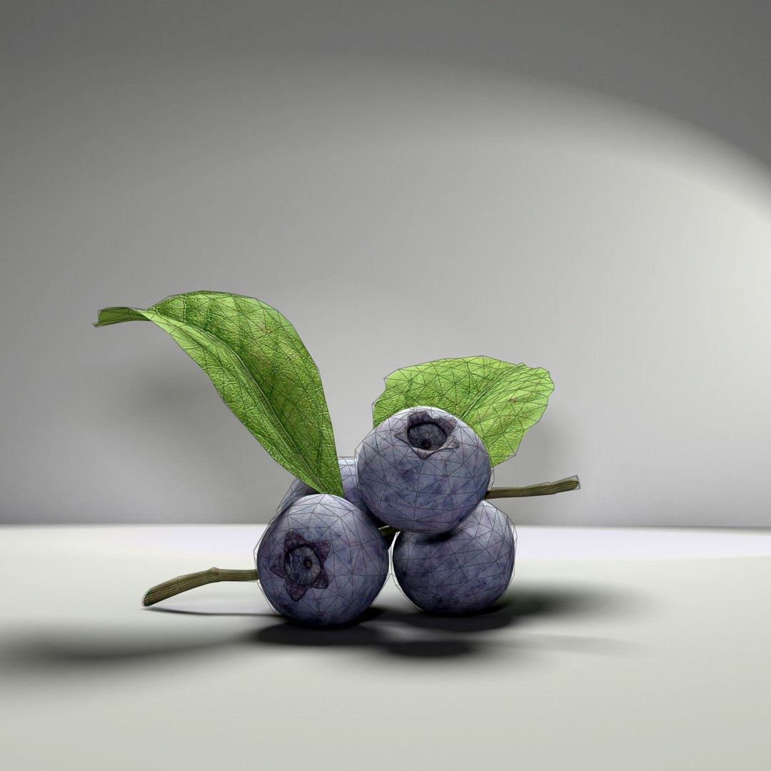 3d Blueberry Berry