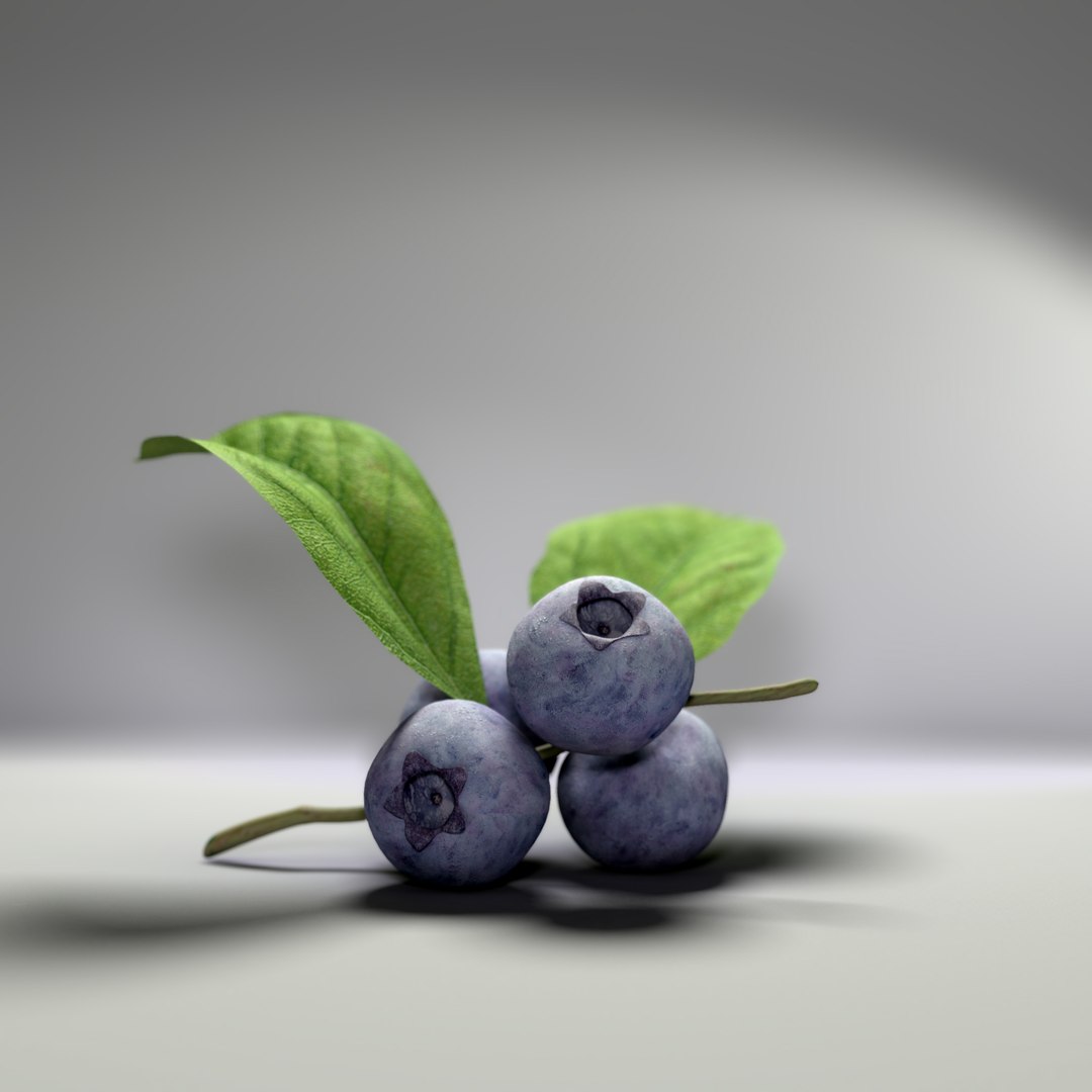 3d Blueberry Berry