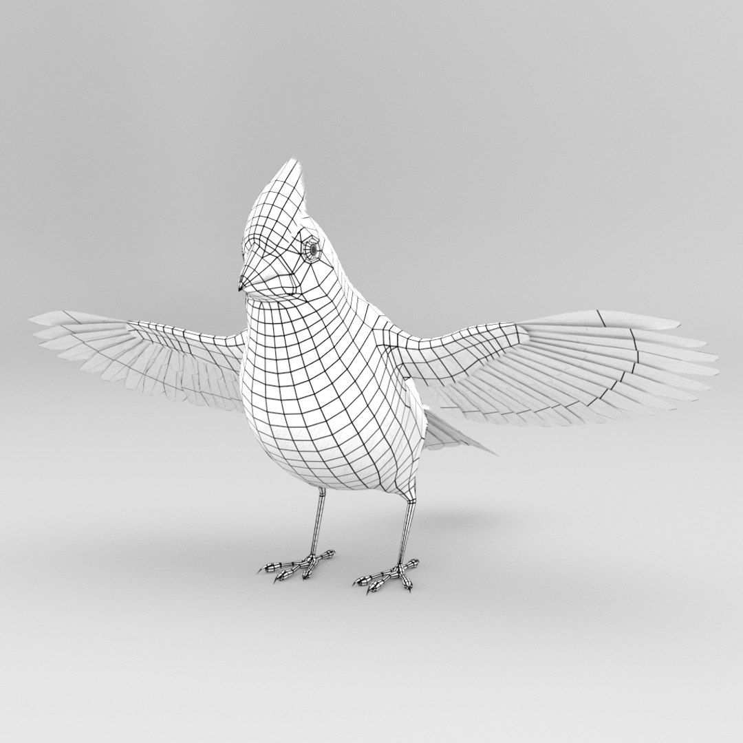 3D 3D Bird Pack Northern Cardinal Male and Female - TurboSquid 1856277