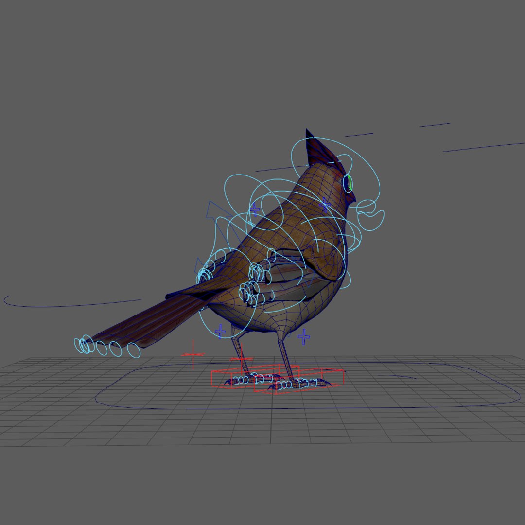 3D 3D Bird Pack Northern Cardinal Male and Female - TurboSquid 1856277