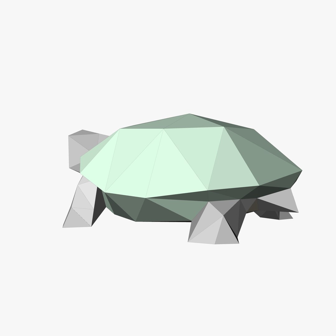 3D Turtle 3D Papercraf Model - TurboSquid 1798155