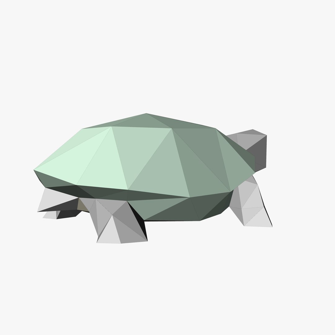 3D Turtle 3D Papercraf Model - TurboSquid 1798155