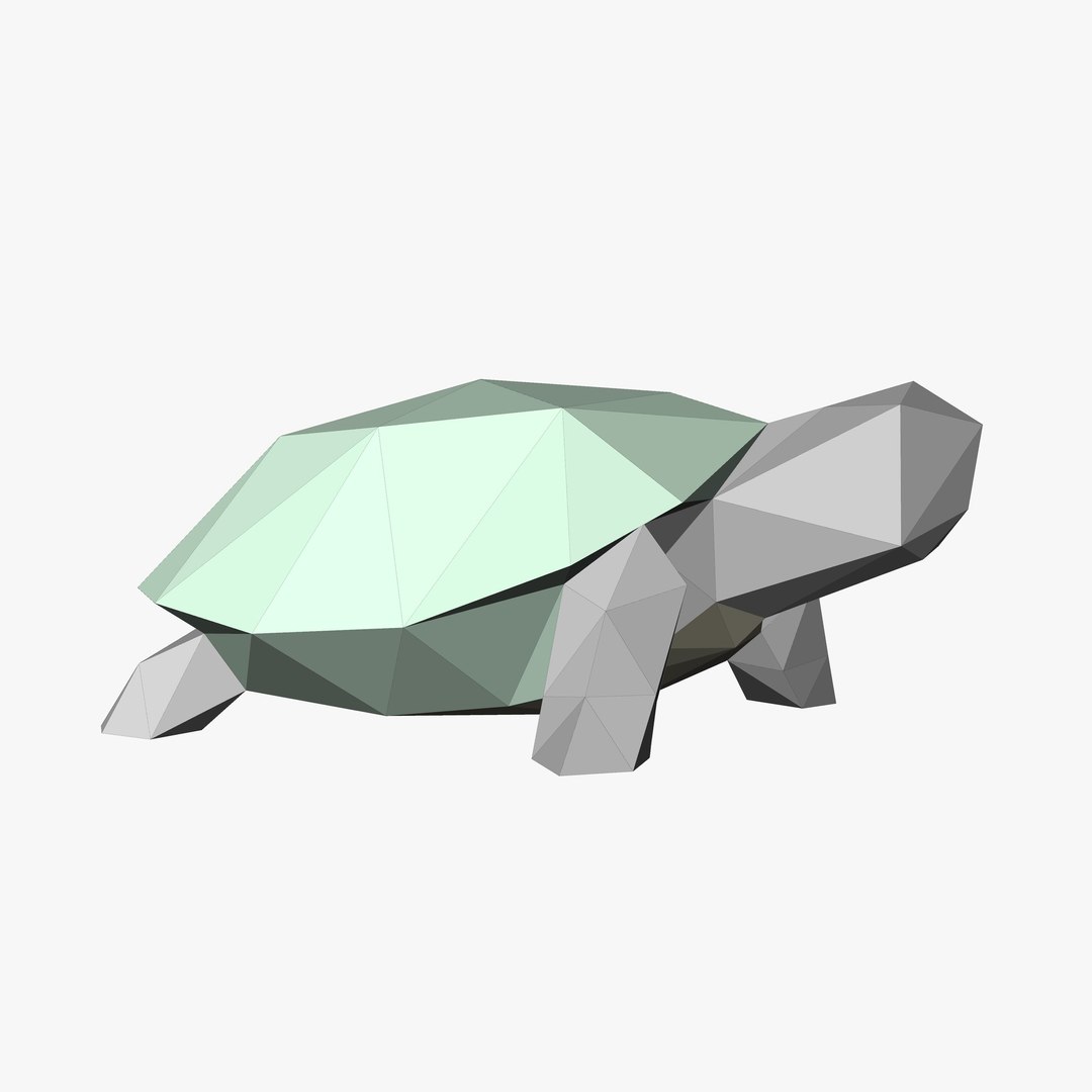 3D Turtle 3D Papercraf Model - TurboSquid 1798155