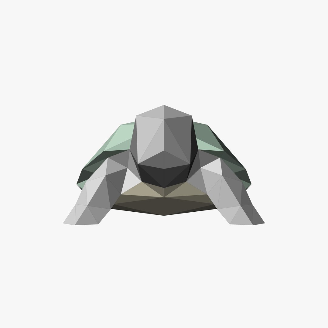 3D Turtle 3D Papercraf Model - TurboSquid 1798155