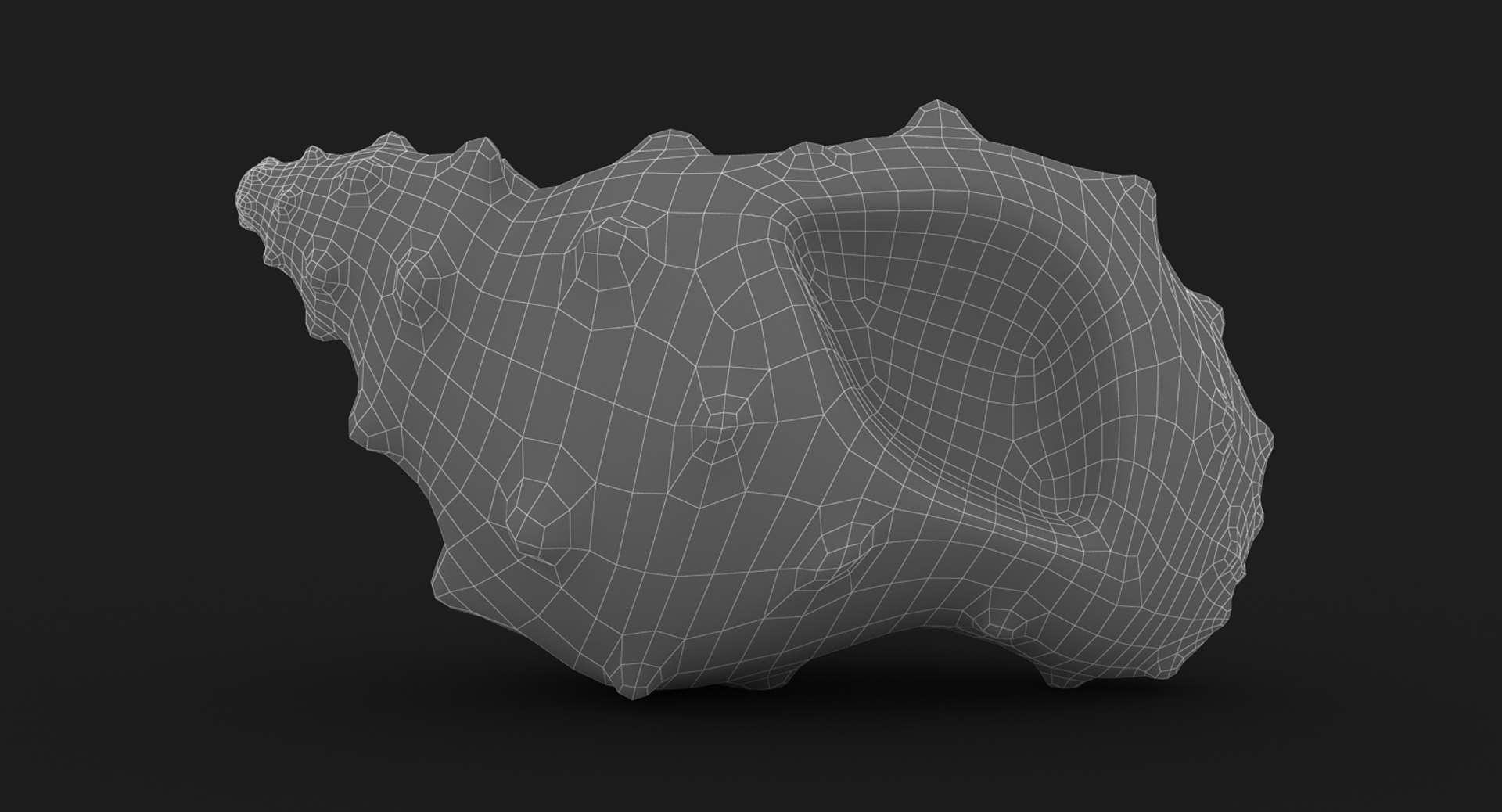 Sea Shell 3 Blue 3D Model - TurboSquid 1150022