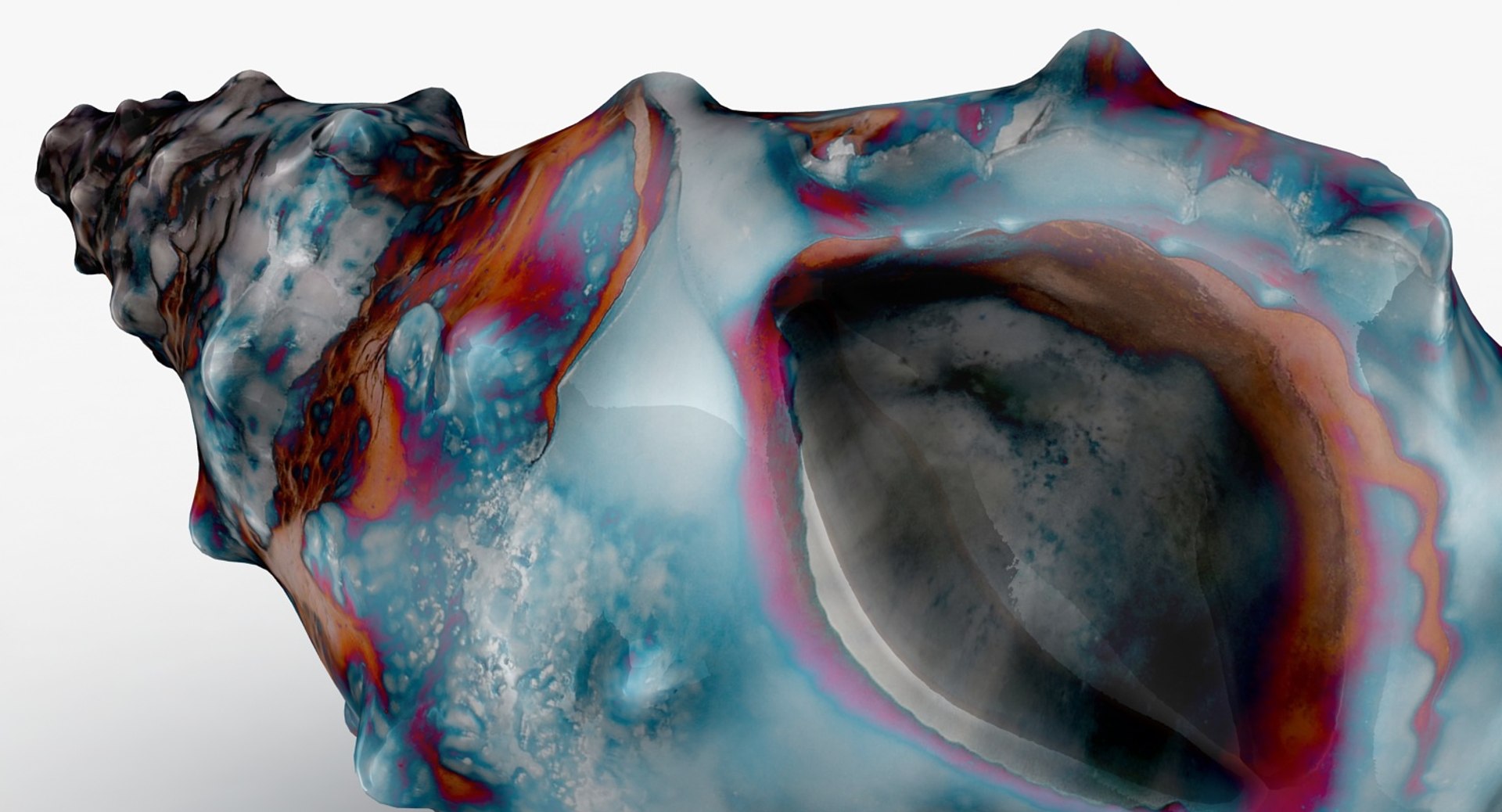 Sea Shell 3 Blue 3D Model - TurboSquid 1150022