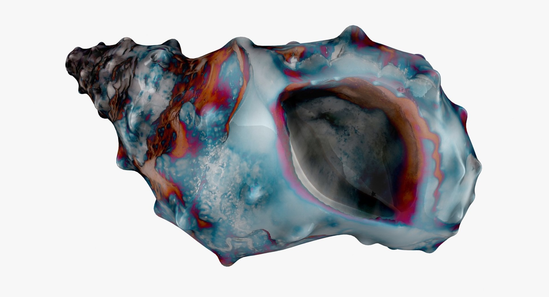 Sea Shell 3 Blue 3D Model - TurboSquid 1150022