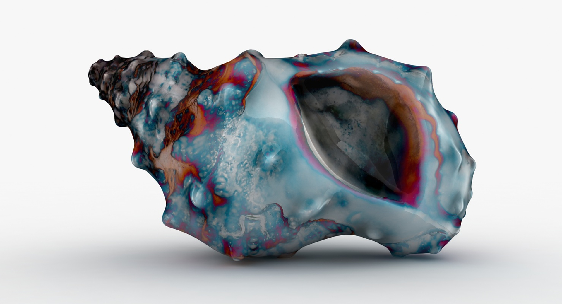 Sea Shell 3 Blue 3D Model - TurboSquid 1150022