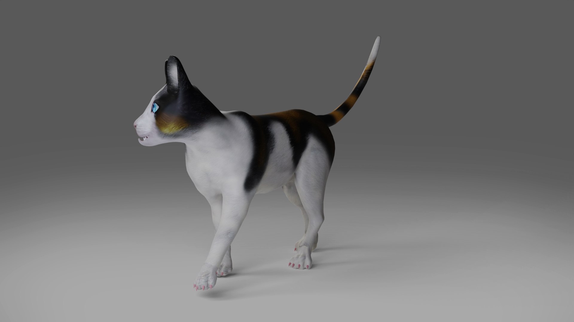 3D Calico Cat Rigged In Blender Model - TurboSquid 1984702