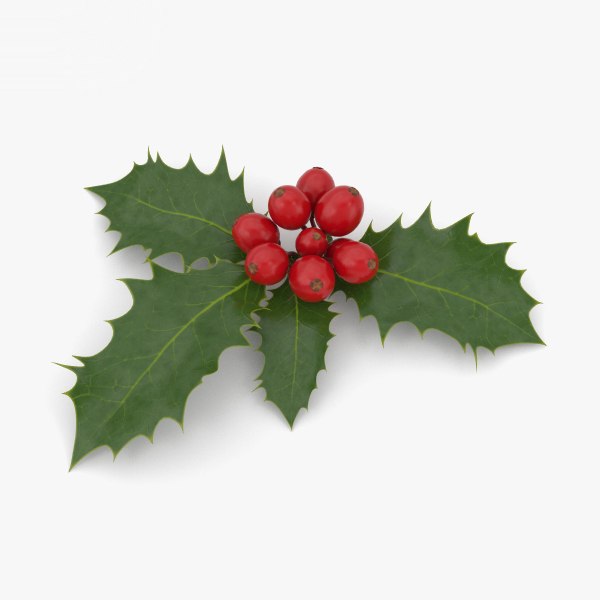 Holly 3D Models for Download | TurboSquid