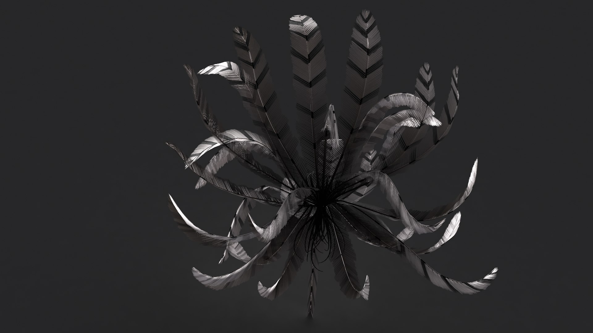 Feather Star 3D Model - TurboSquid 1689487