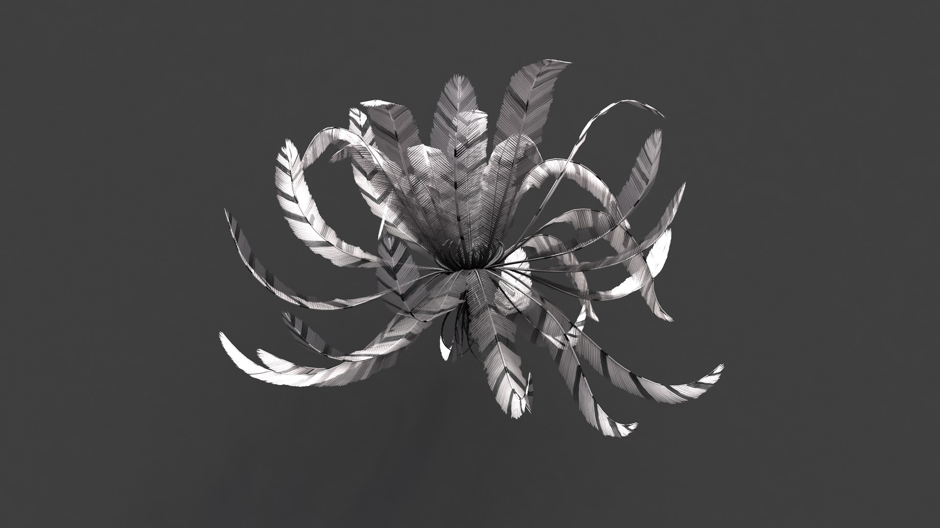 Feather Star 3D Model - TurboSquid 1689487