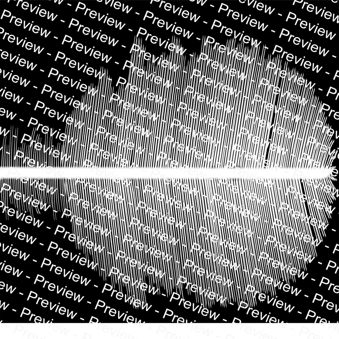 Feather Star 3D Model - TurboSquid 1689487