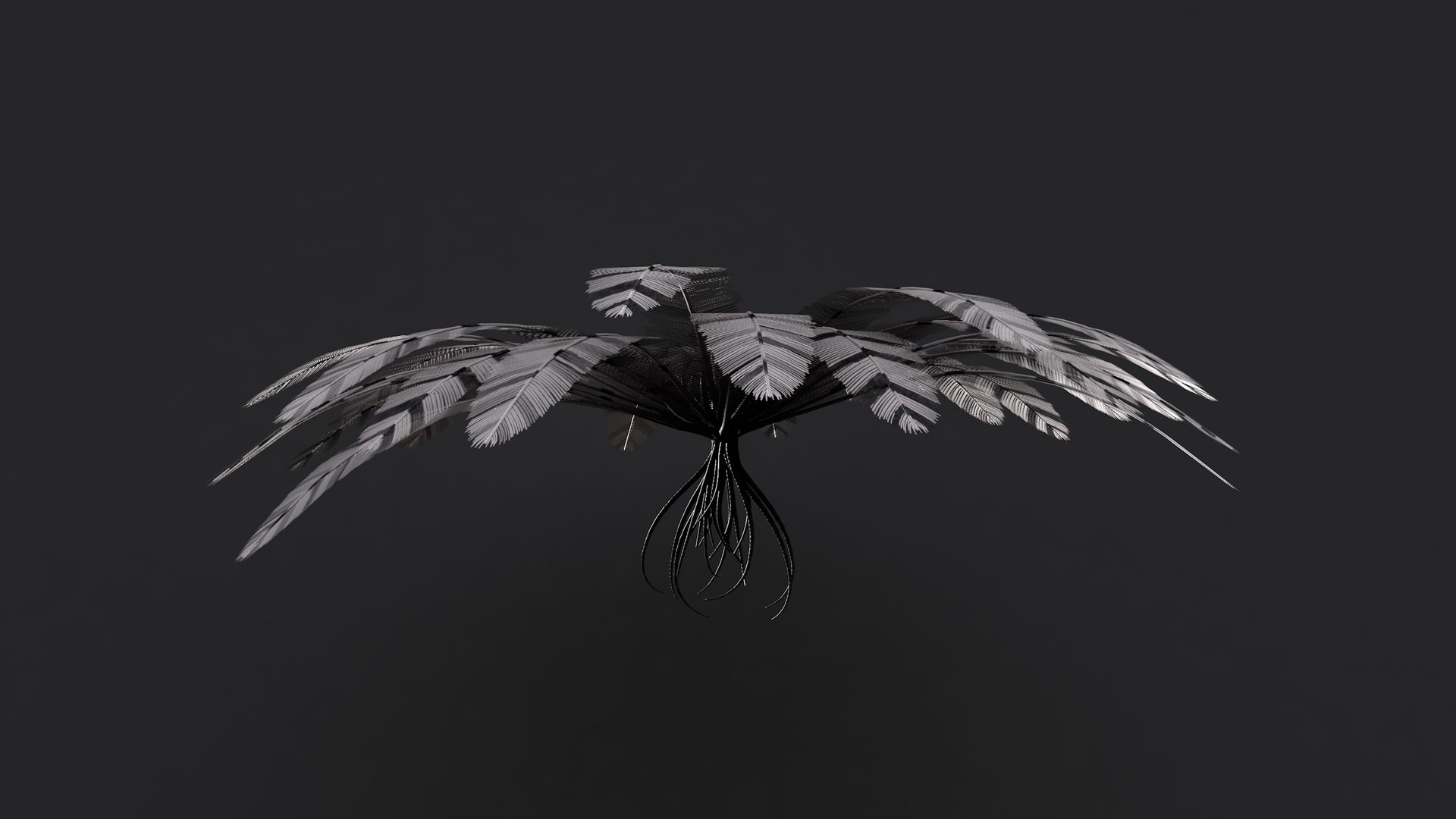 Feather Star 3D Model - TurboSquid 1689487