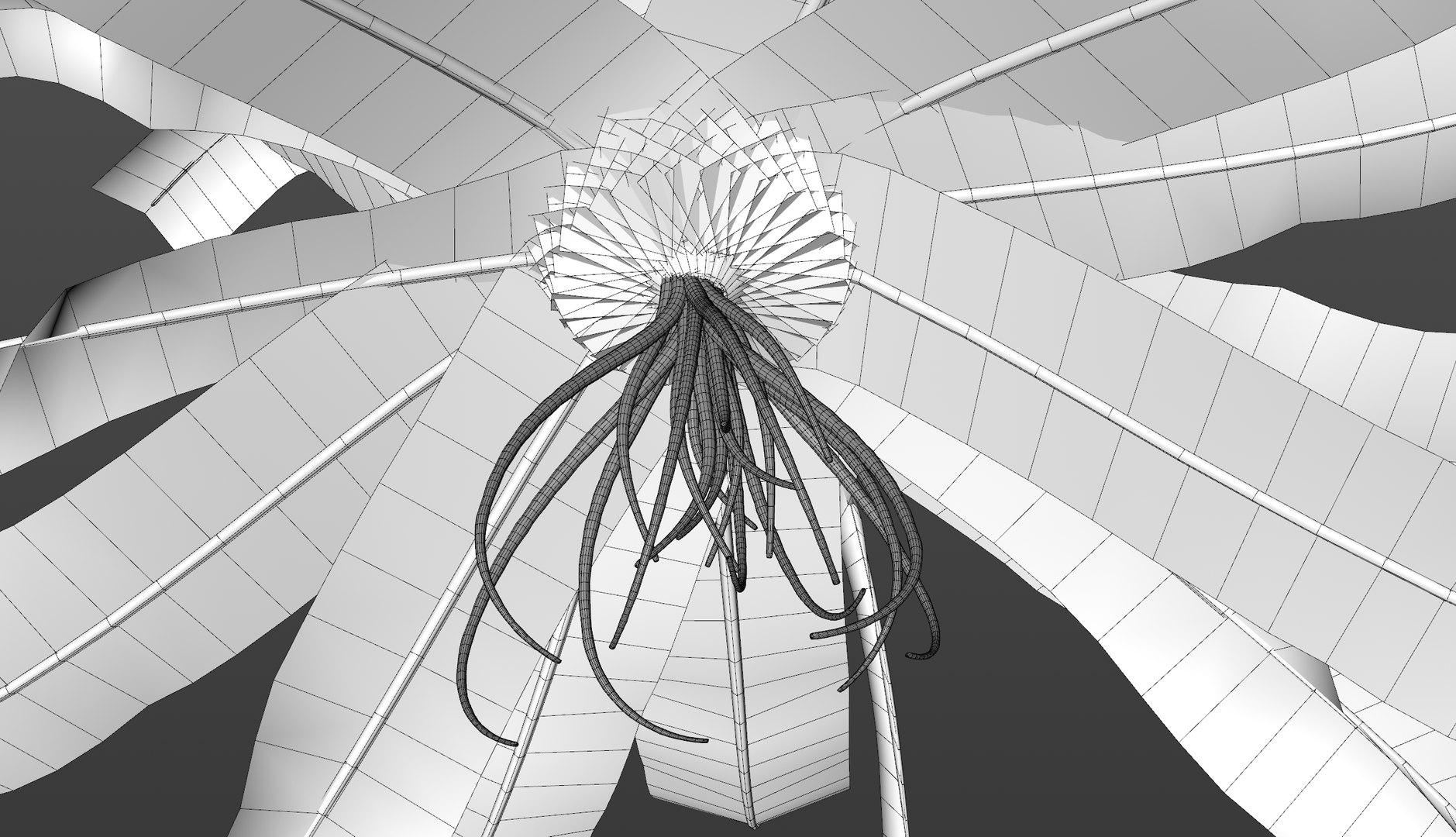 Feather Star 3D Model - TurboSquid 1689487