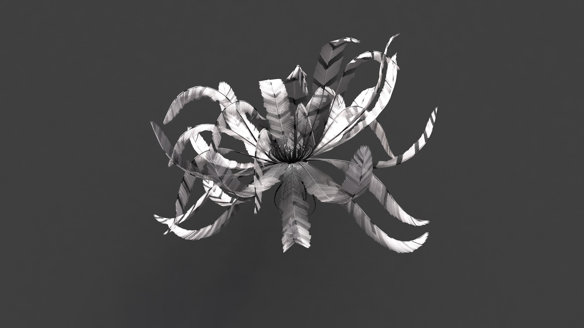 Feather Star 3D Model - TurboSquid 1689487