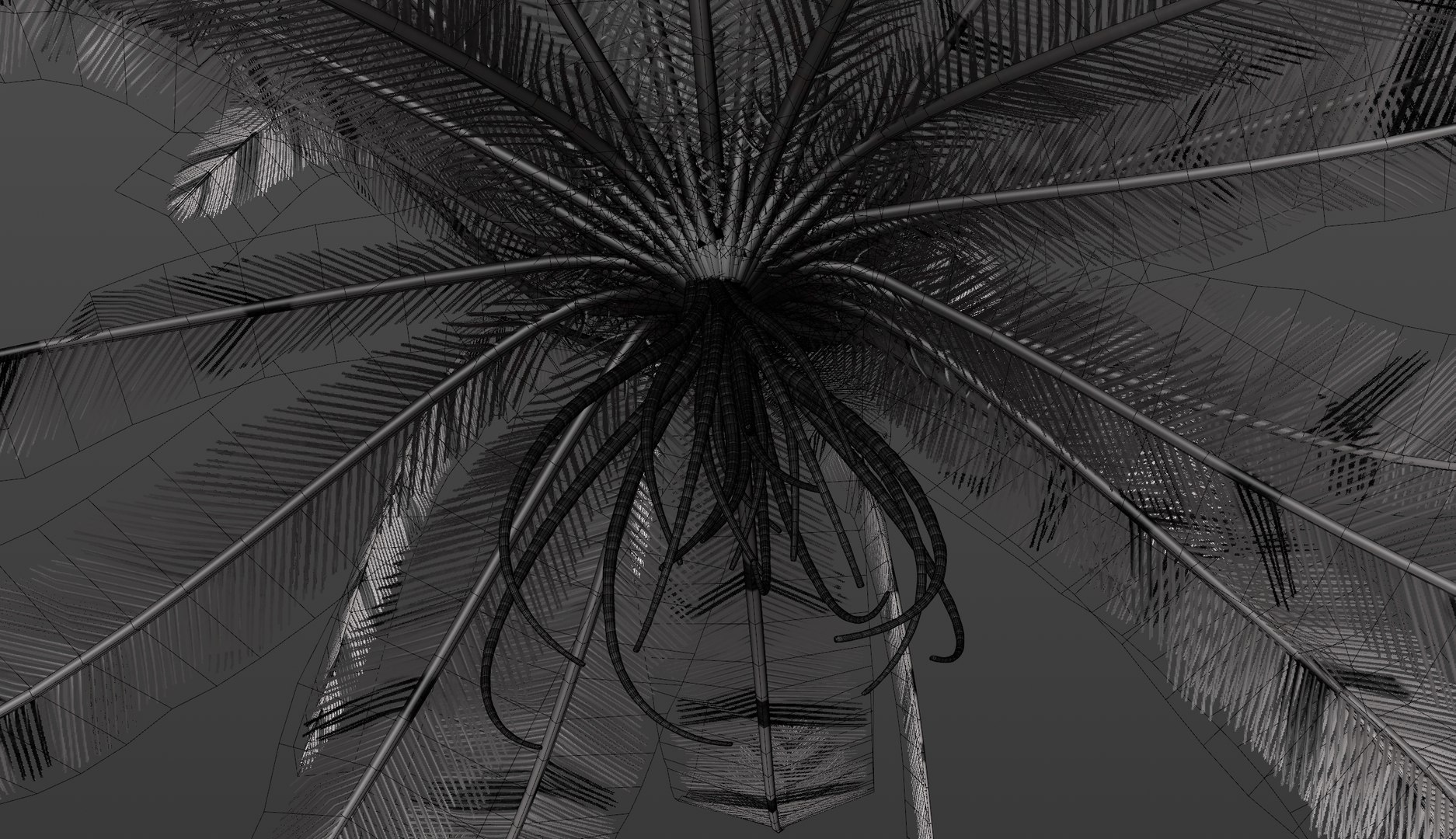 Feather Star 3D Model - TurboSquid 1689487