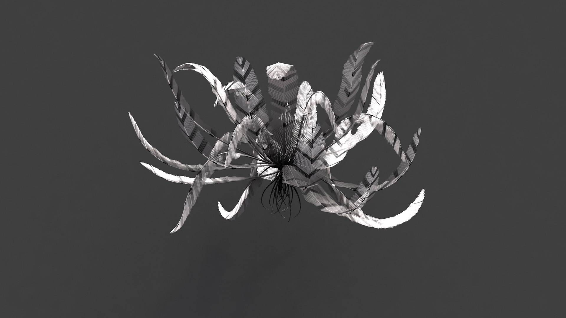 Feather Star 3D Model - TurboSquid 1689487