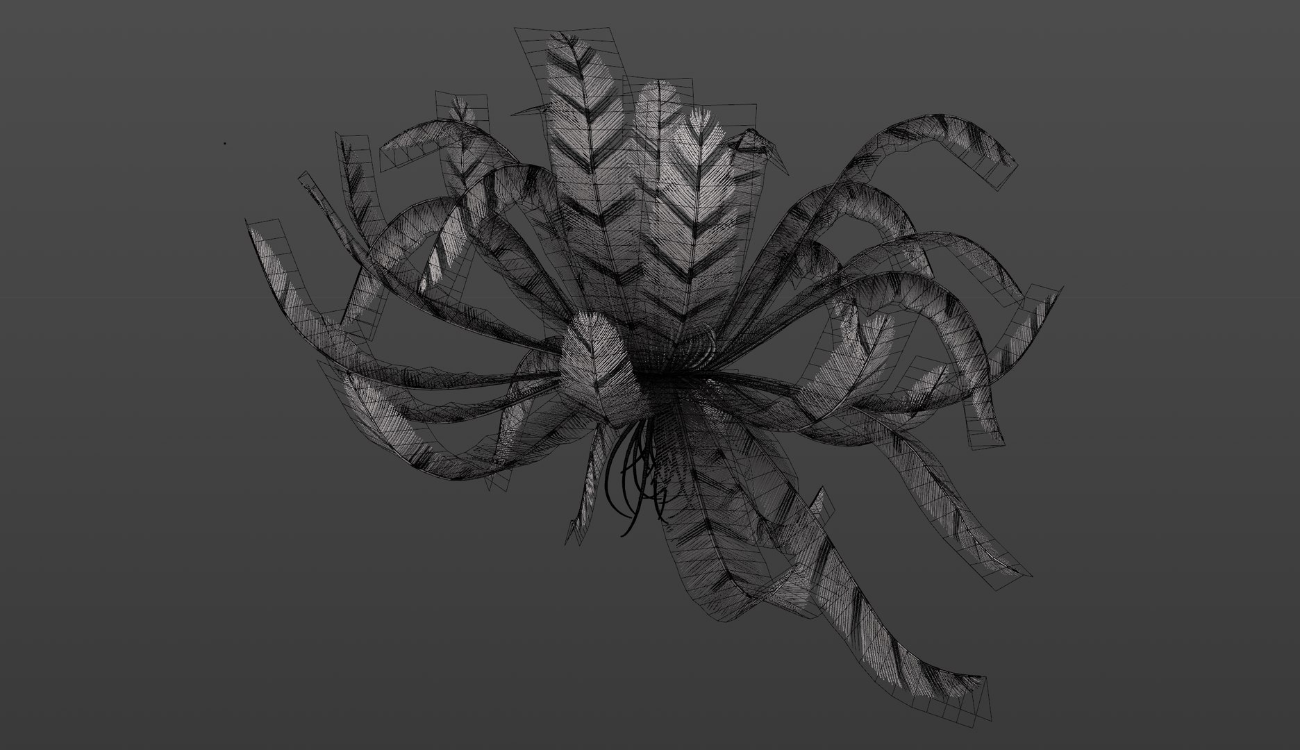 Feather Star 3D Model - TurboSquid 1689487