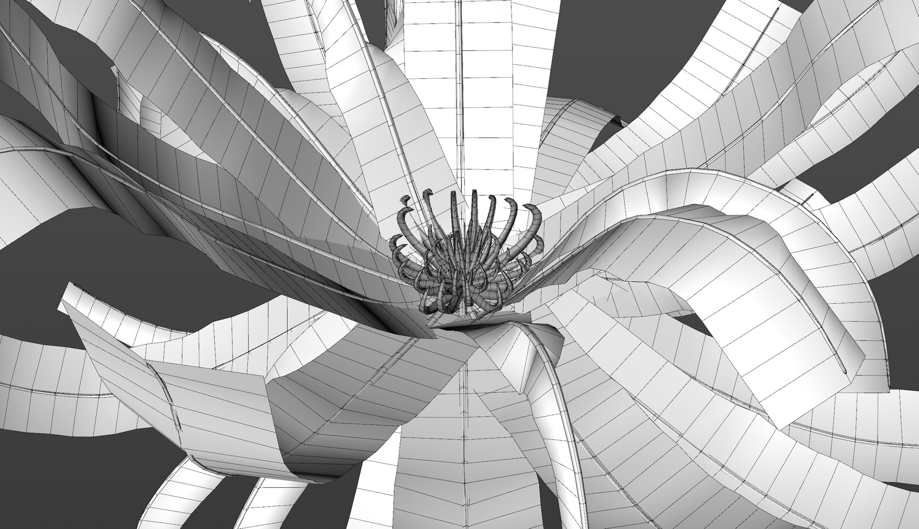 Feather Star 3D Model - TurboSquid 1689487