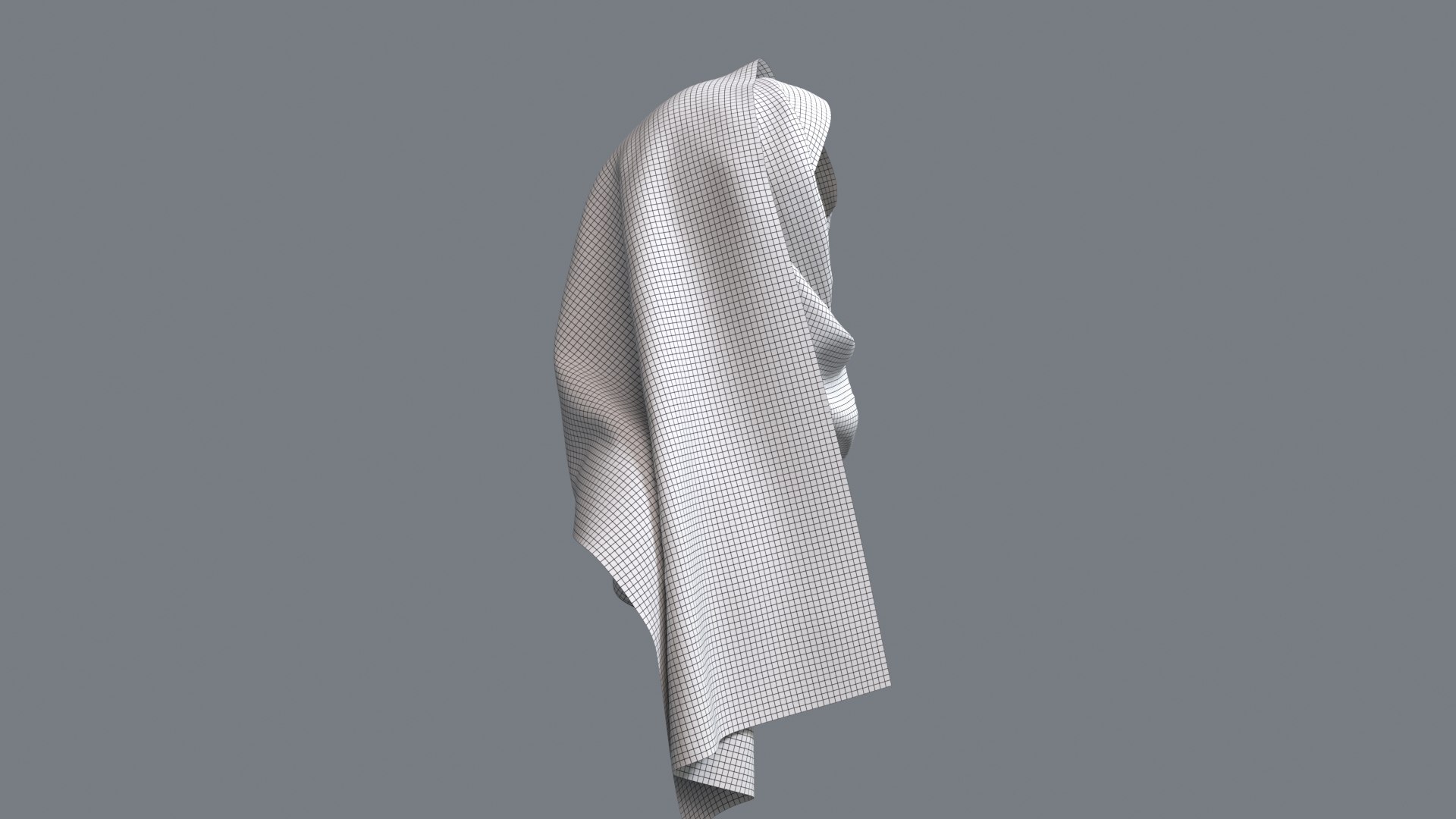 Plane shawl 3D model - TurboSquid 1543817