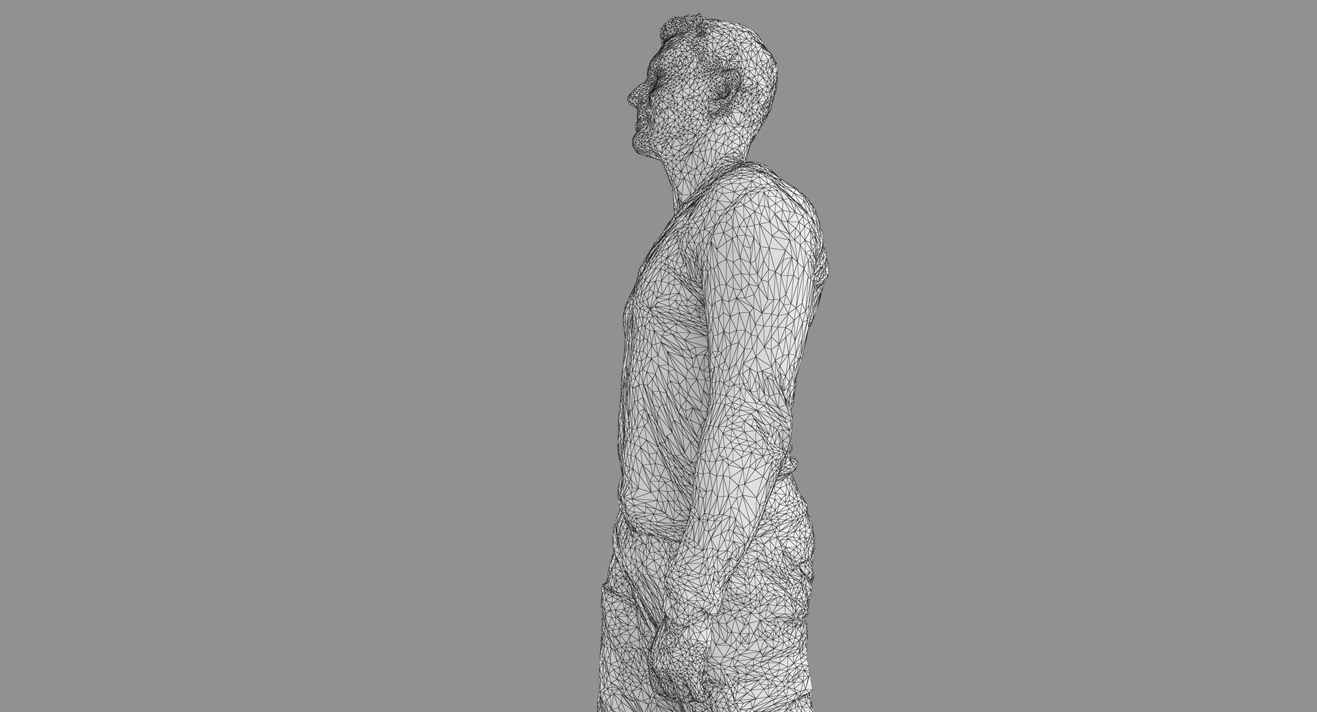 3d Human Body