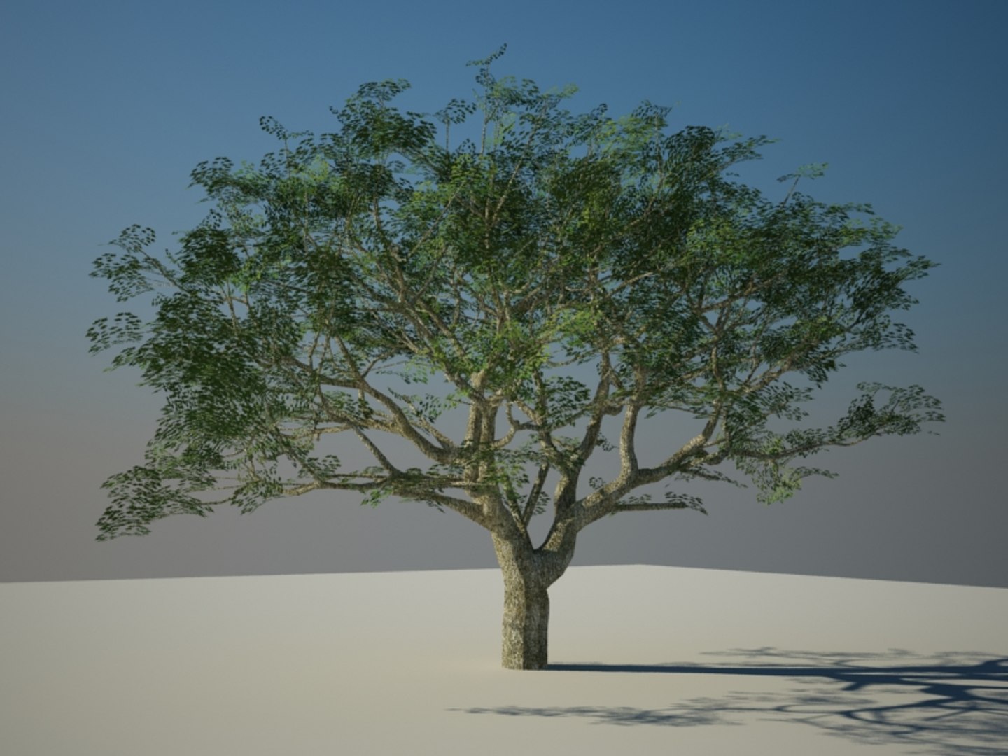3d Tree