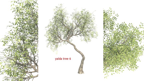 Free Tree 3ds Max Models for Download | TurboSquid