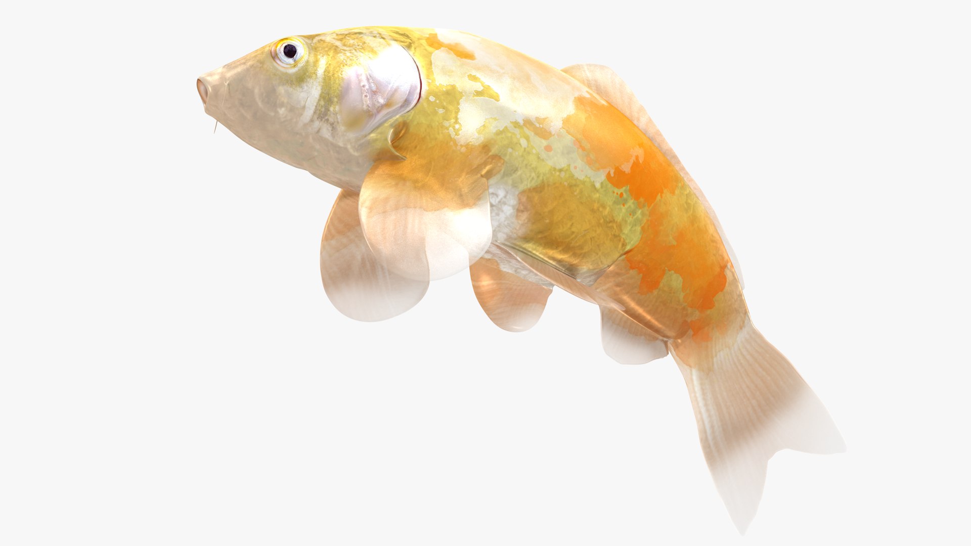 Japanese Carp Fish Rigged L1852 3D Model - TurboSquid 1969292