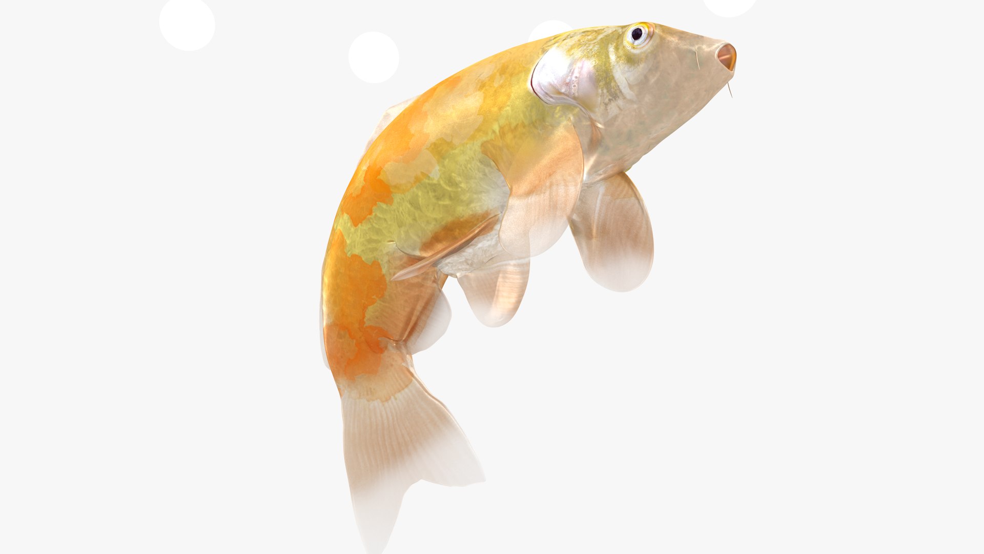 Japanese Carp Fish Rigged L1852 3D Model - TurboSquid 1969292